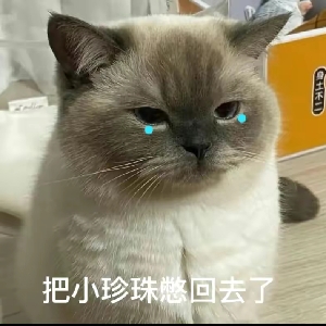 一博大帅比呀 