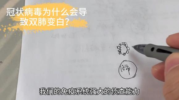 感染新冠病毒为什么会导致双肺变白?