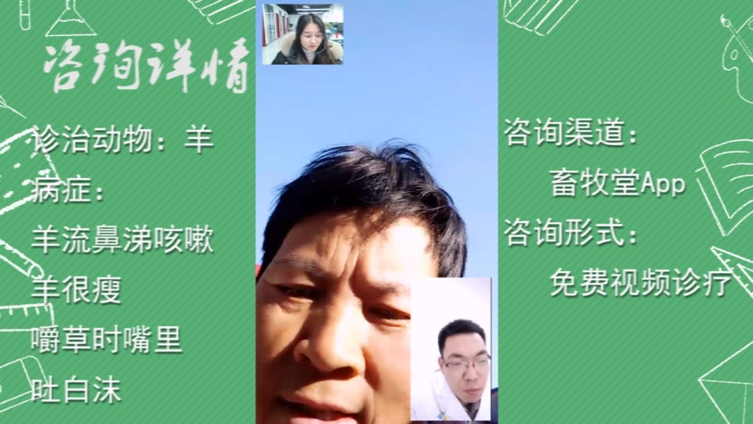 羊流鼻涕咳嗽,很瘦,嚼草时嘴里吐白沫,这么奇怪是什么病?