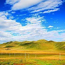 问酒家何处牧童指杏花 