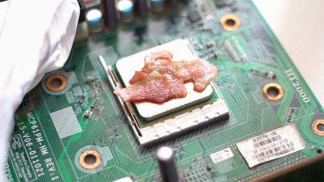电脑处理器还能干什么?当然是烤肉呀