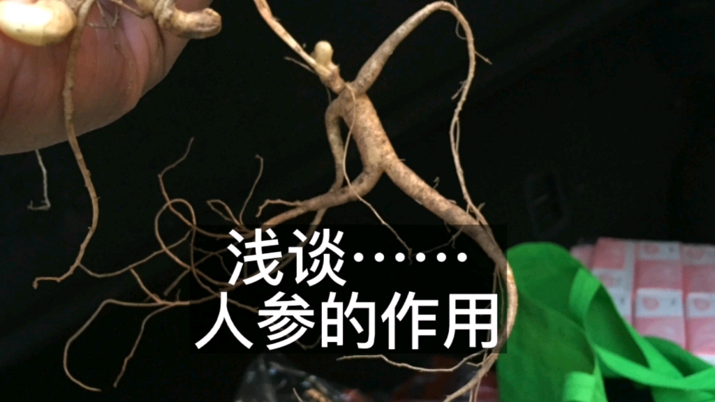 浅谈人参的作用 #人参#作用#野山参#野生参#山参#林下参
