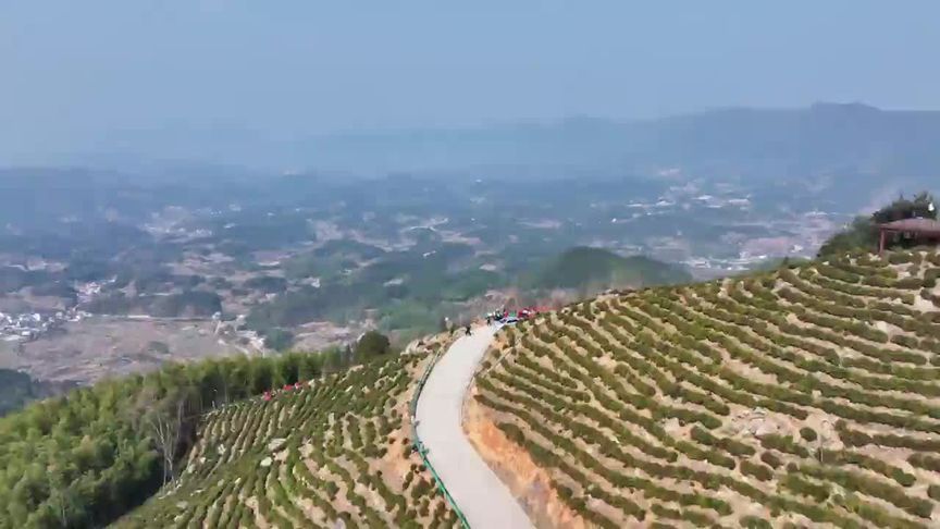 宣城旌德:植树造林“扮靓”艺术乡村