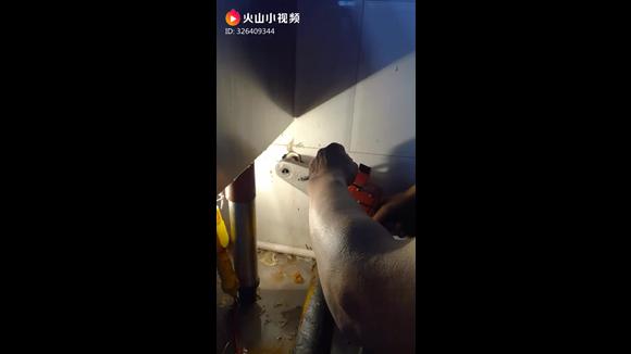 取丝器取墙里断裂的内牙丝