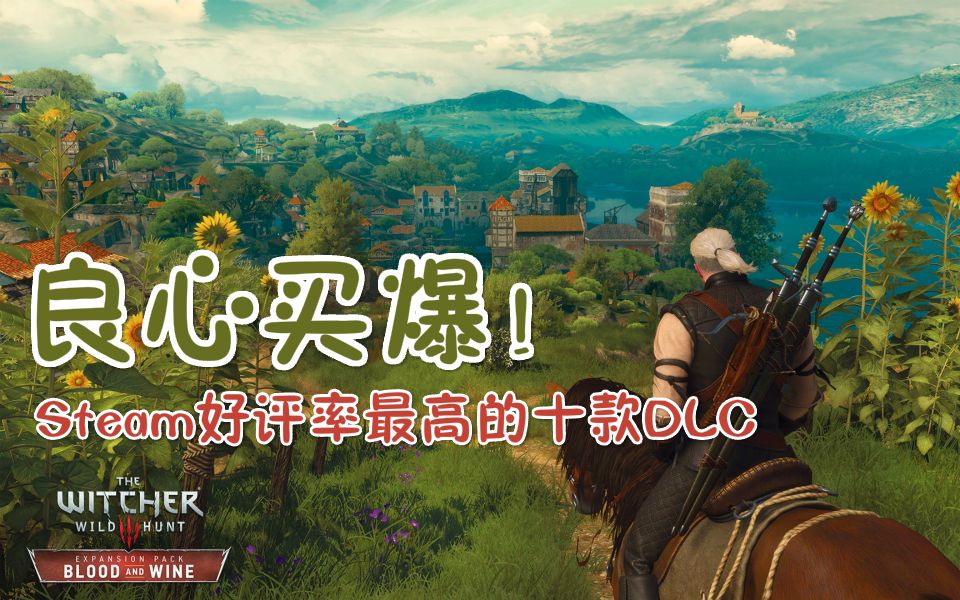 【游戏最TOP】良心买爆！Steam好评率最高的十款DLC