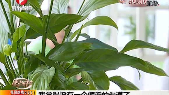 戒毒者说:创业精英的戒毒心声,诉说他的吸毒过程