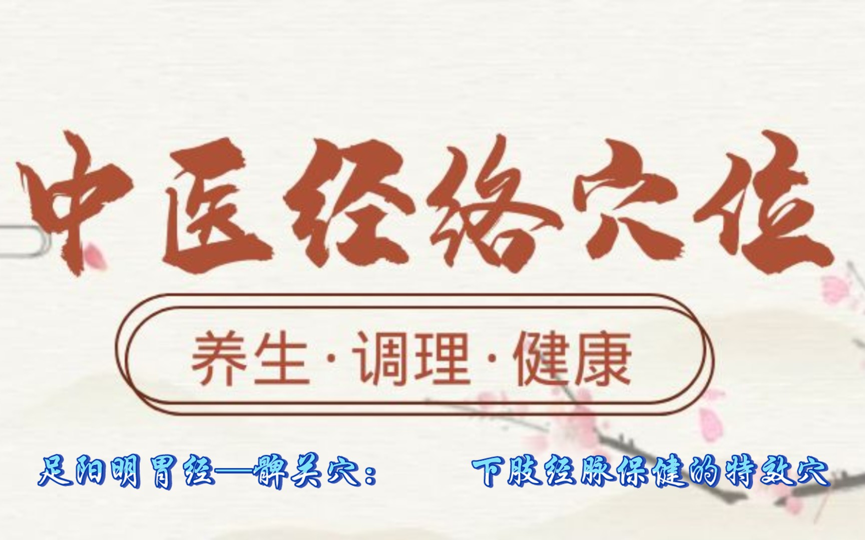 和我一起学中医之每日一穴足阳明胃经—髀关穴:下肢经脉保健的特效穴