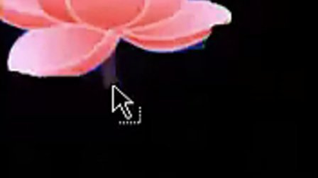 flash实例课(睡莲)