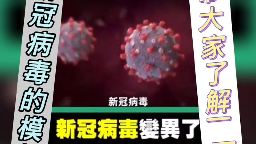 新冠病毒的模样