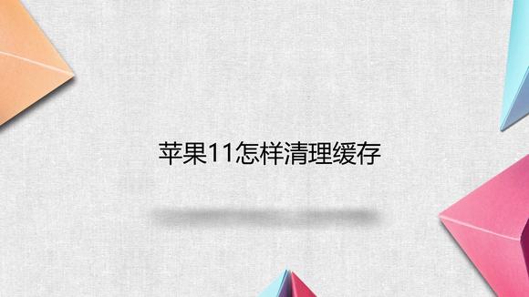 苹果11怎样清理缓存