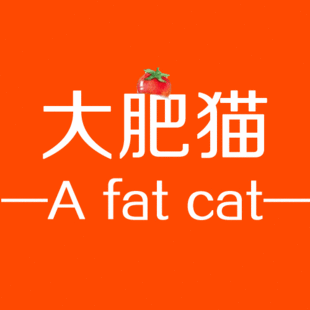 大肥猫fatcat 