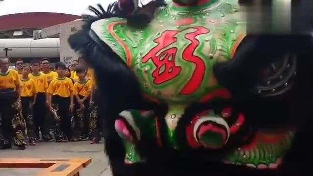 笑迎新年,精彩的舞狮表演,场面喧闹,满满的过年氛围!