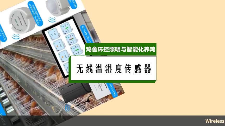 #鸡舍环控照明与智能化养鸡 畜禽养殖场无线温湿度VOC传感器