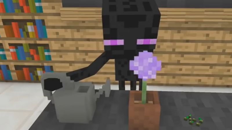 Minecraft动画 - 植物种植