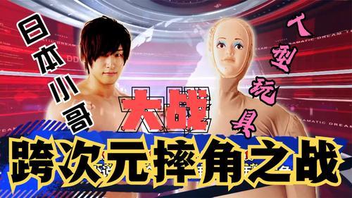 日摔DDT饭桶迎来最强二点五次元挑战者,无奈祭出九阳打桩机