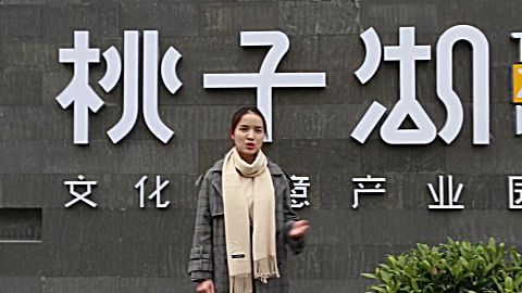 【湖南师大十九大宣讲】贯彻新发展理念,建设现代化经济体系(吴任爽 ...
