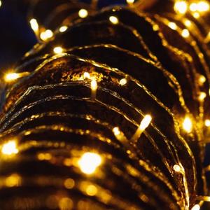 京酱肉丝盖浇饭 