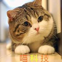 喵科技 