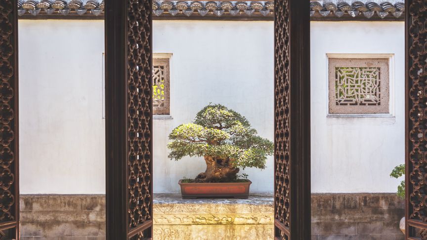 木门应该这样装,我来说说关于门套的那些事