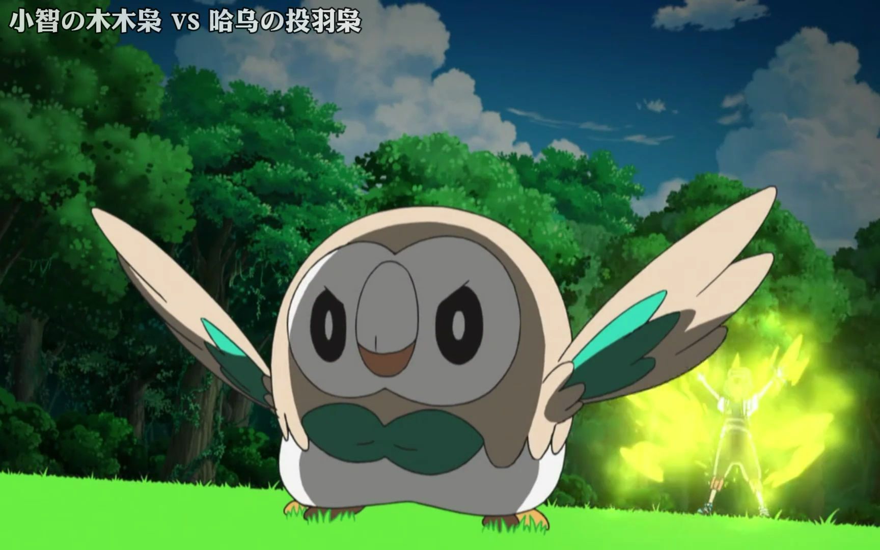 精灵宝可梦:小智VS哈鸟,木木枭挑战投羽枭,空中强者将会是谁?