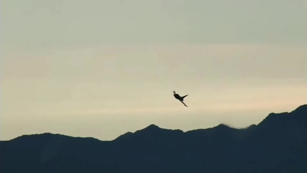 法国飞机飞行表演坠毁事故,飞机一头扎进海里,这炸鱼代价有点大