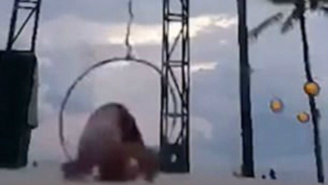 杂技演员高空坠下摔断脖子 脊柱受损恐终生残疾