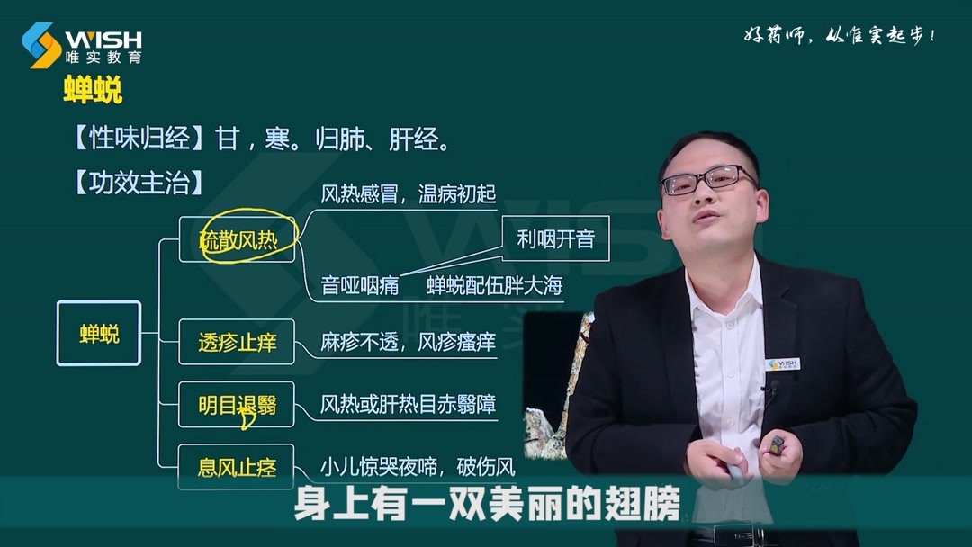 唯实教育 2021年执业药药师考试网课中药类备考课件视频蝉蜕知了