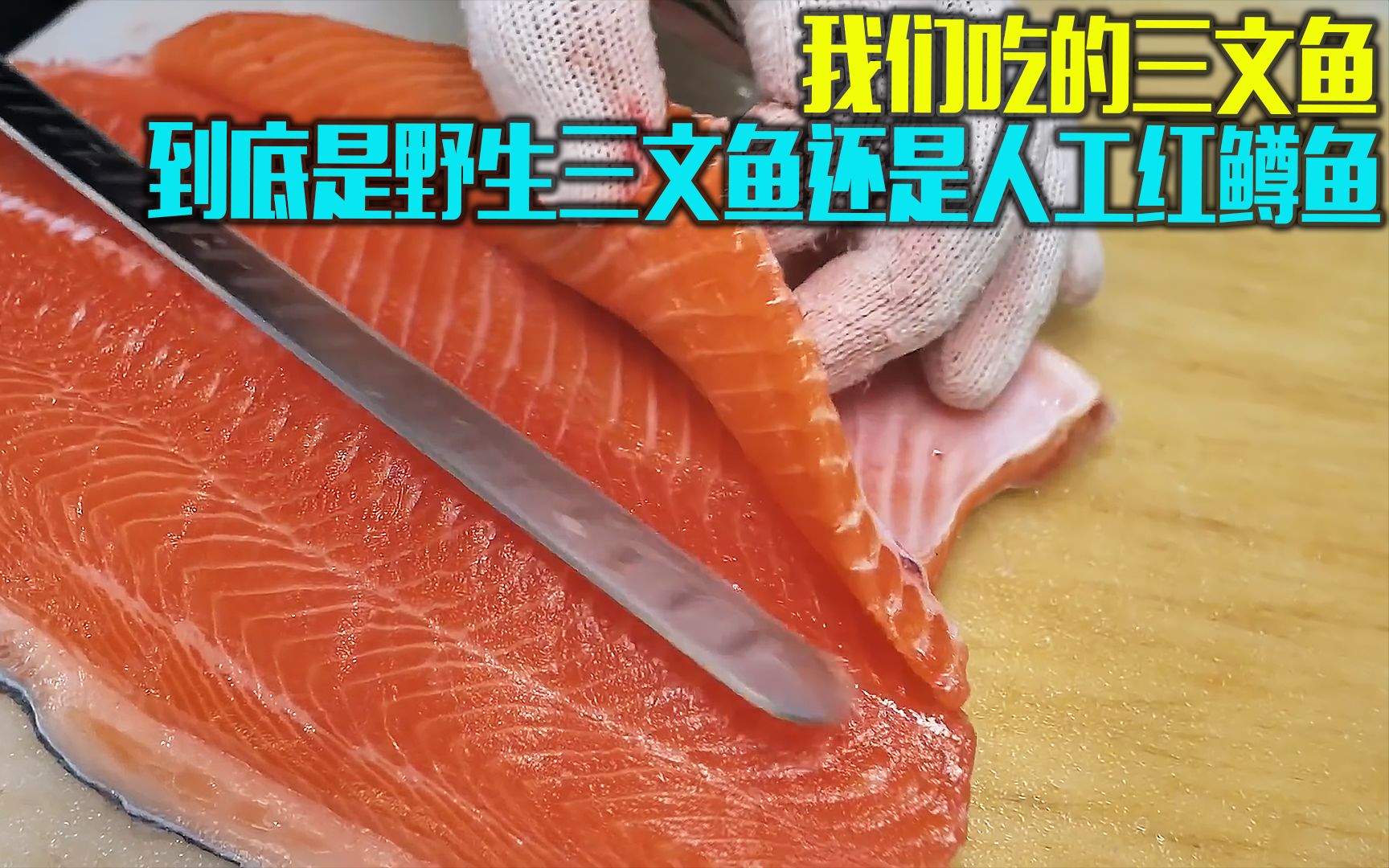 你们每天常吃的三文鱼,真的是进口野生三文鱼吗?而不是虹鳟鱼?