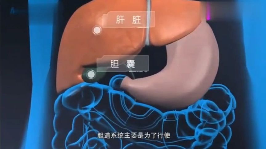 科普;演示胆囊切除手术全过程,胆囊炎胆结石微创手术!
