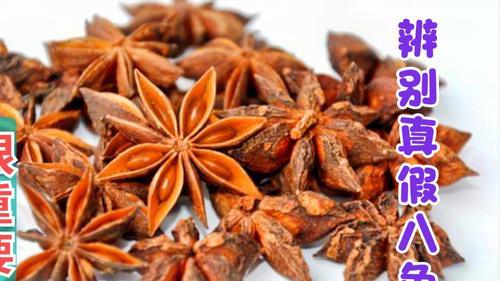 八角别乱买,有的八角是假的,有“剧毒”,教你辨别真假,快学学