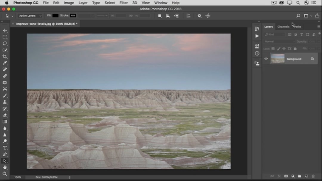 Adobe Photoshop如何使用色阶功能提高照片的对比度和亮度?