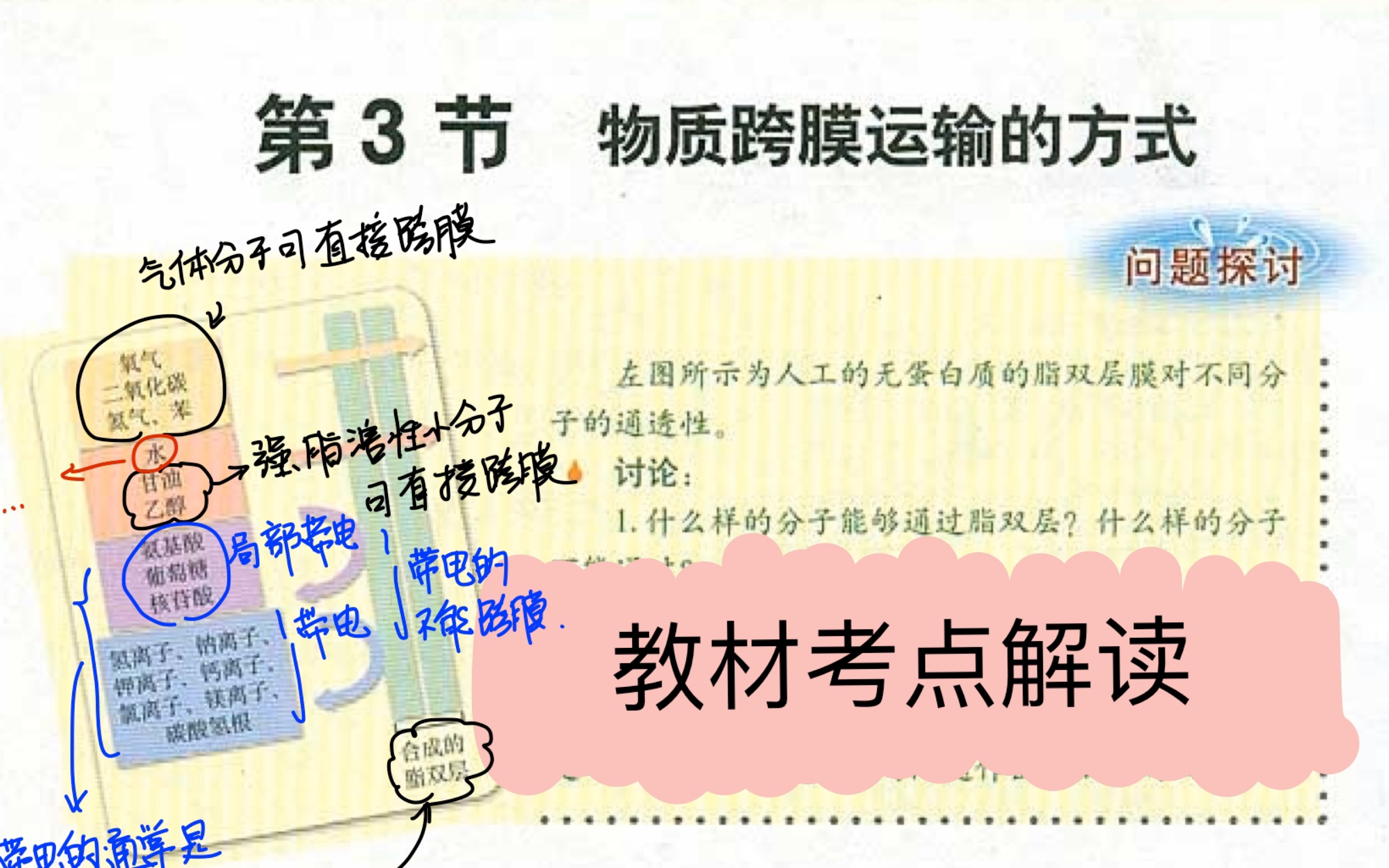 主动运输 被动运输 自由扩散 协助扩散 胞吞胞吐 跨膜运输 必修一 高中...