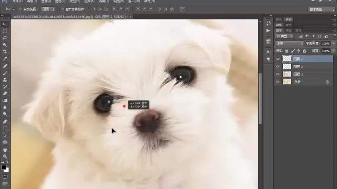 ps下载ps基础ps滤镜ps抠图ps下载 ps视频教程