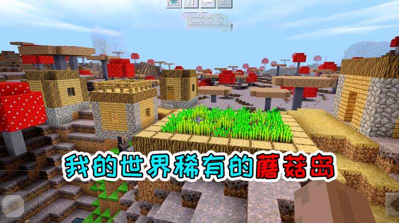 我的世界:极其稀有的四个种子,几乎没人遇到过,老玩家也不例外