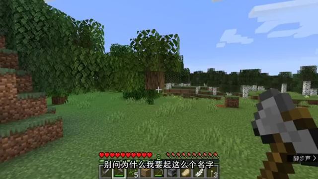 我的世界1.16联机01:再次开启多人联机,小帕该考虑如何填坑了