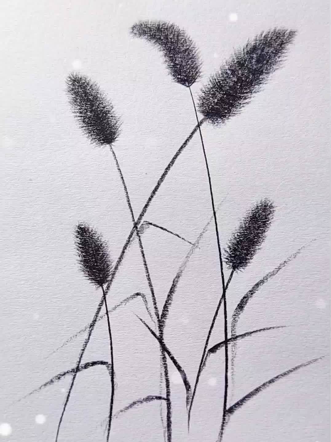 画毛茸茸的狗尾草