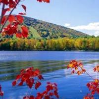 在唱歌的小刺梨 