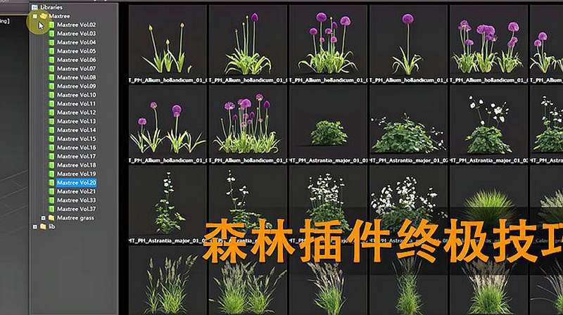 森林插件终极技巧