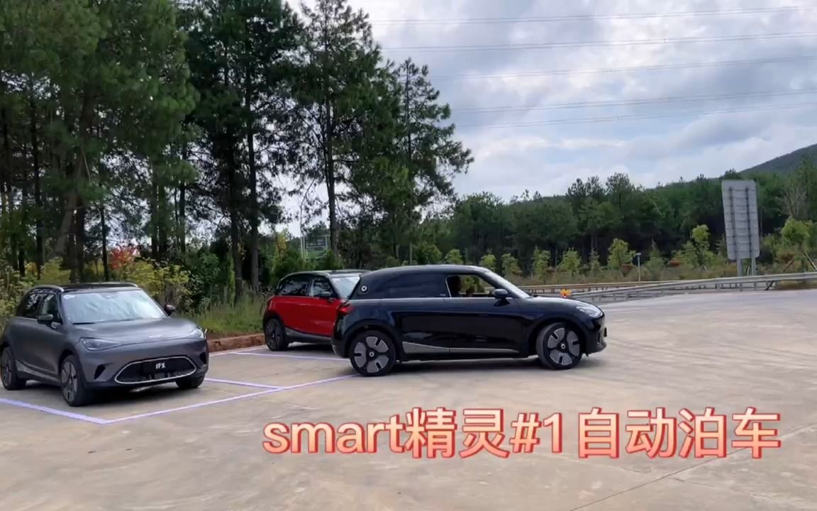 smart精灵#1自动泊车