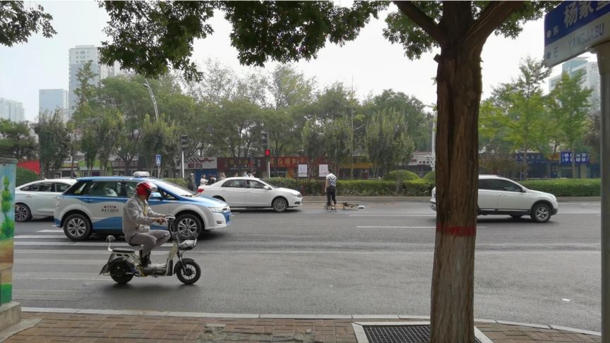 看一看礼让行人有多么的重要