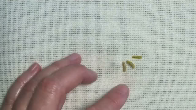刺绣基础针法教程之卷边绣,适合绣好看的花朵