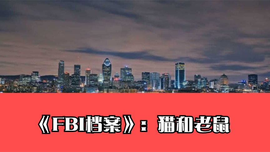 《FBI档案》:猫和老鼠