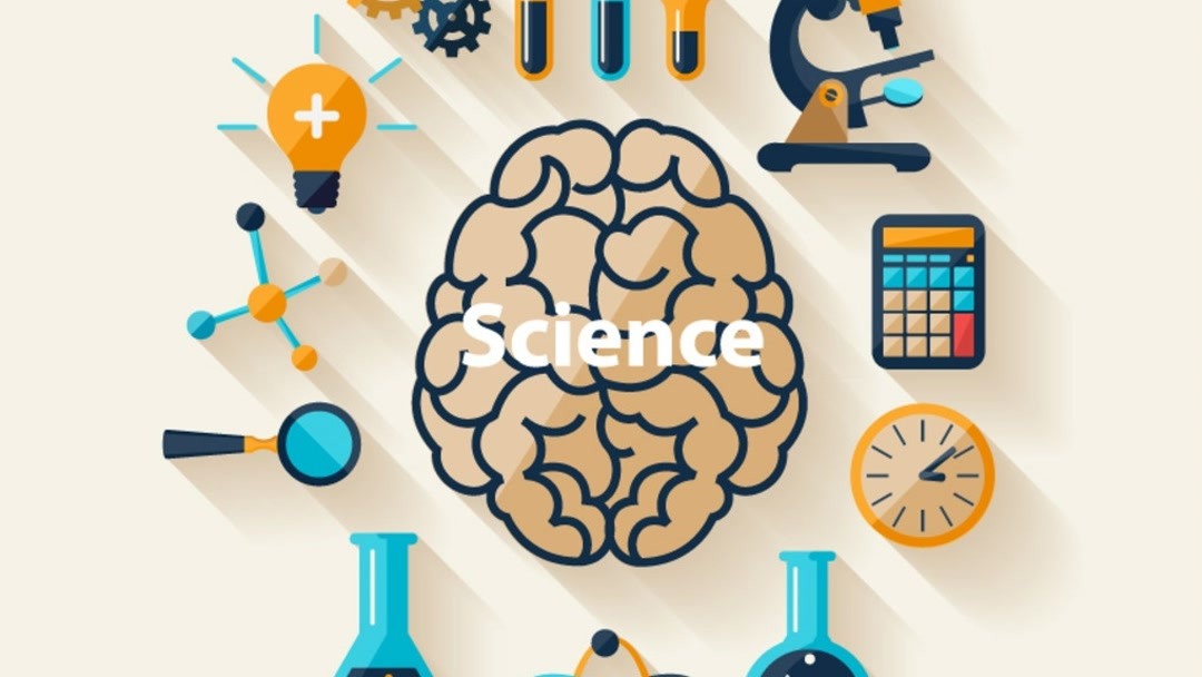 小学科学一年级上册01 我们知道的植物