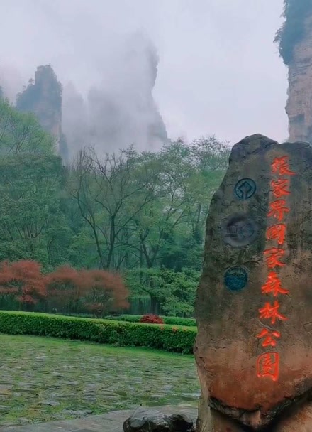 张家界的森林公园,景色宜人风景优美,有机会一定要来!