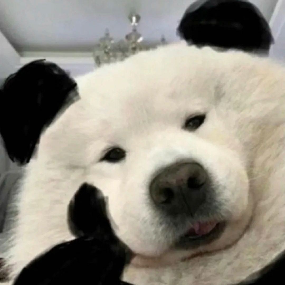 小泰233666 