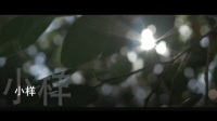 公平正义点燃镇村干部为民办实事工作激情(雷鸣镇宣传片)