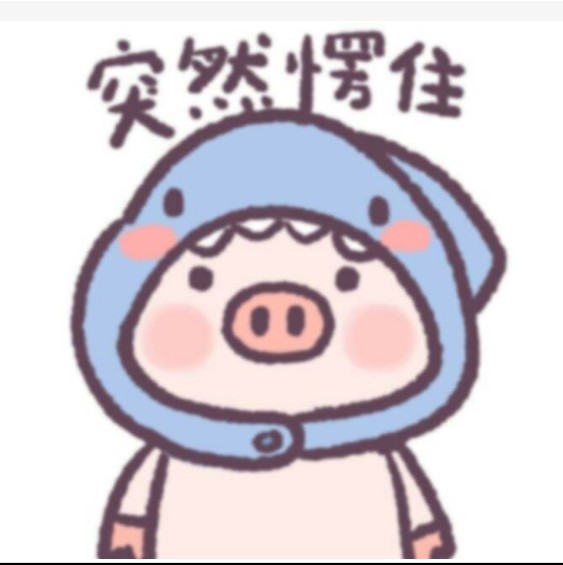 呆头的呆瓜 