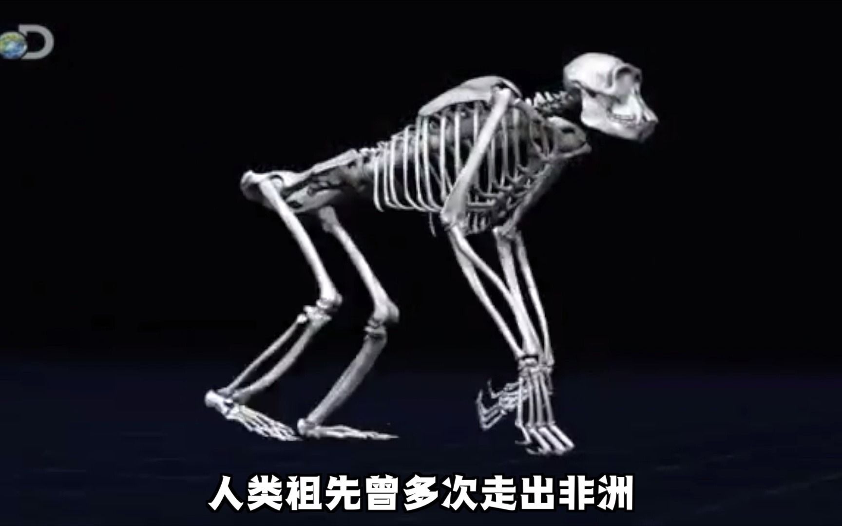 我们为什么要行走:大加速时代反内卷行动指南