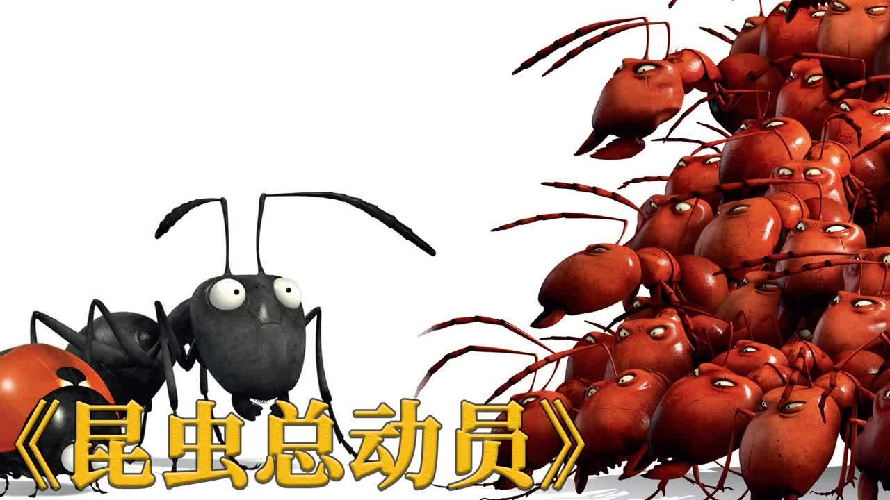 冒险动画《昆虫总动员》,蚂蚁为了一盒糖引发战争,最后死伤惨重