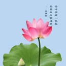 皮皮虾 